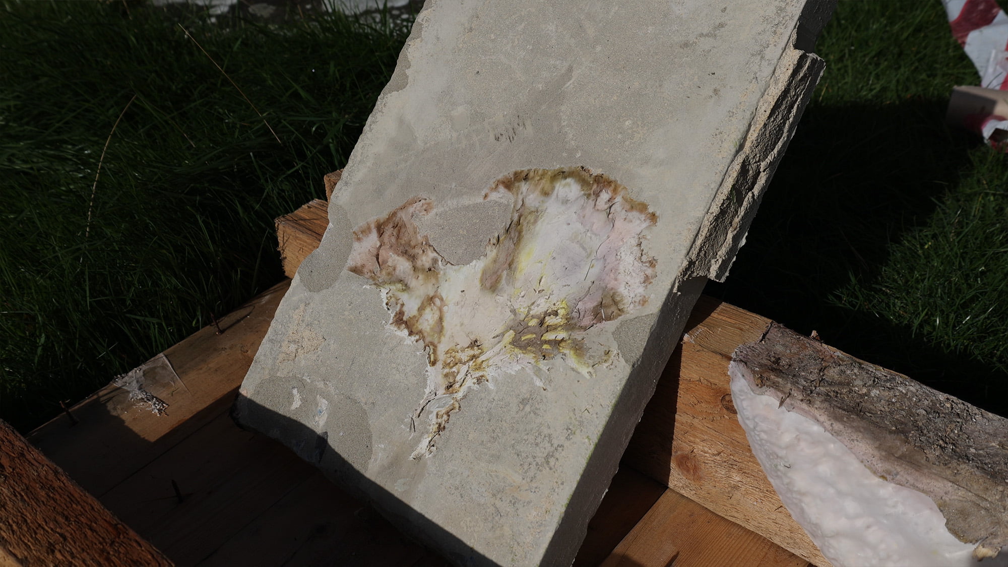 What Is Dry Rot? - UK Restoration Services